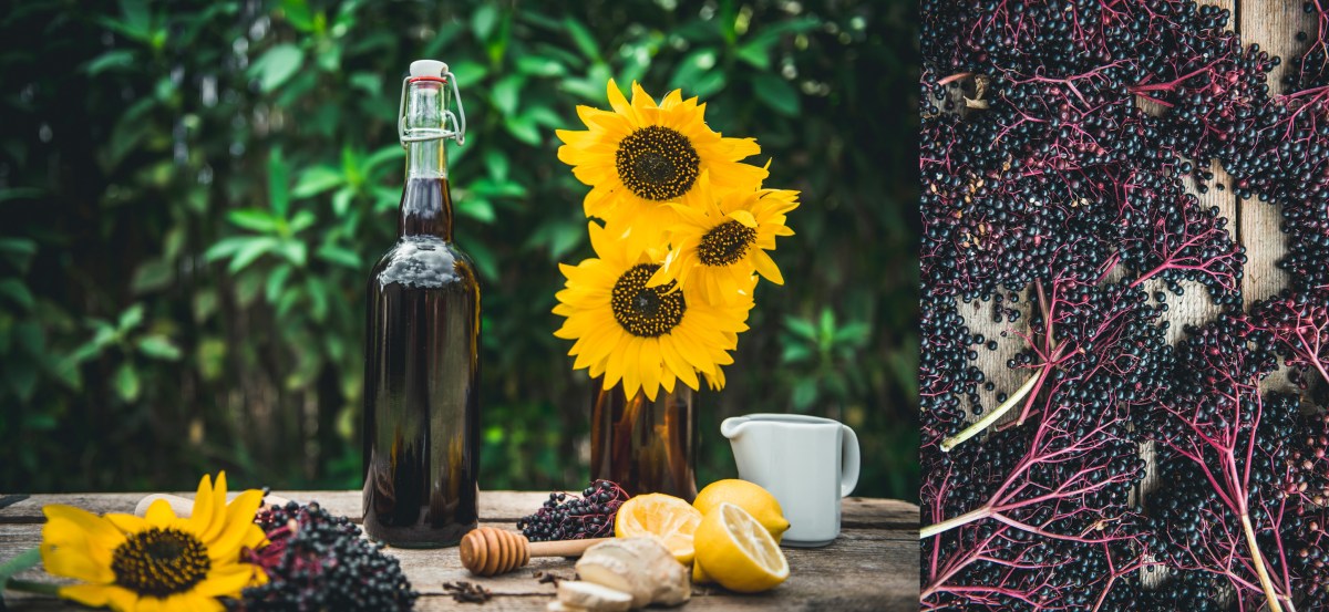 Fűszeres Bodzabogyó Szirup, A Legfinomabb Orvosság